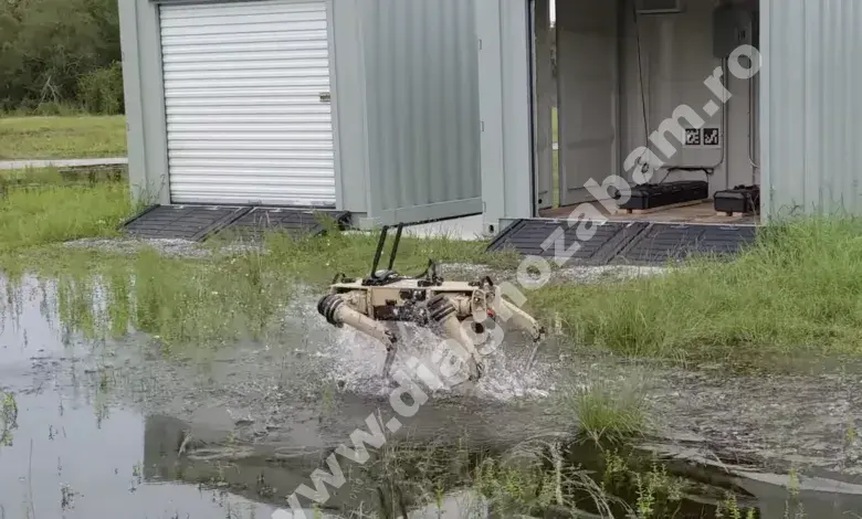 Descrierea Tehnologică a Robotului „NEO” - Diagnoză BAM